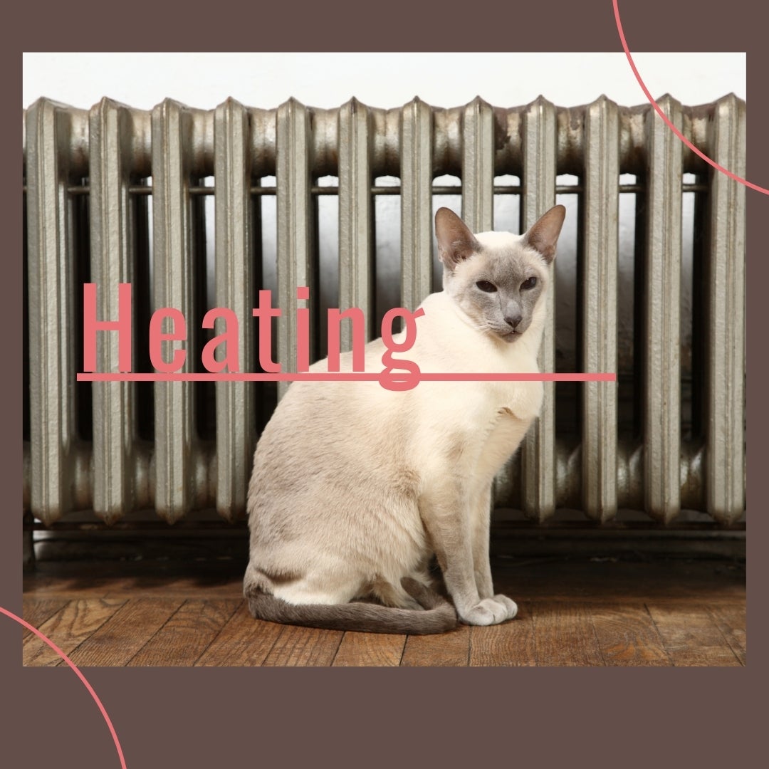 Heating & Plumbing Specialist | Carmichael Brown Heating Ltd